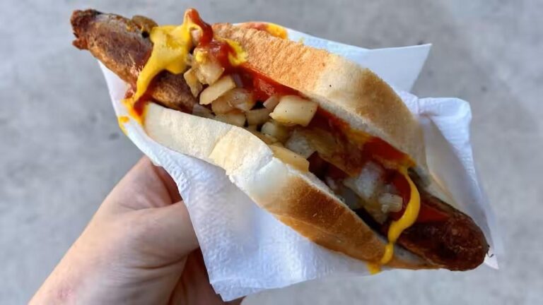 Democracy Sausage: A Simple Guide to Australian Politics